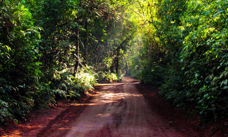 A via para os preprints (Parte 1): Introdução ao Open Preprint Systems ...